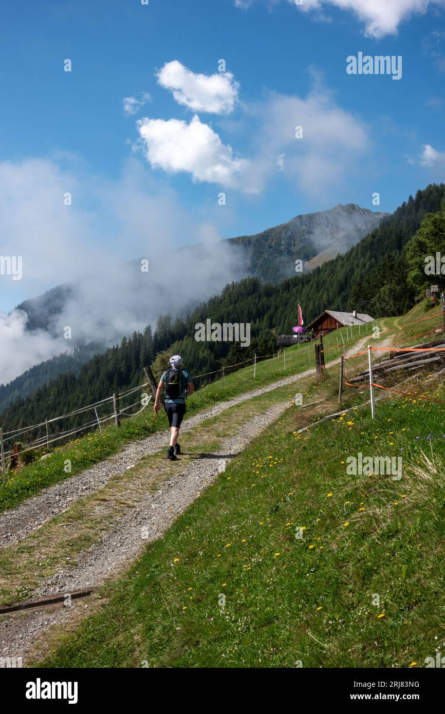 Trekking hut forest hi-res stock photography and images - Alamy