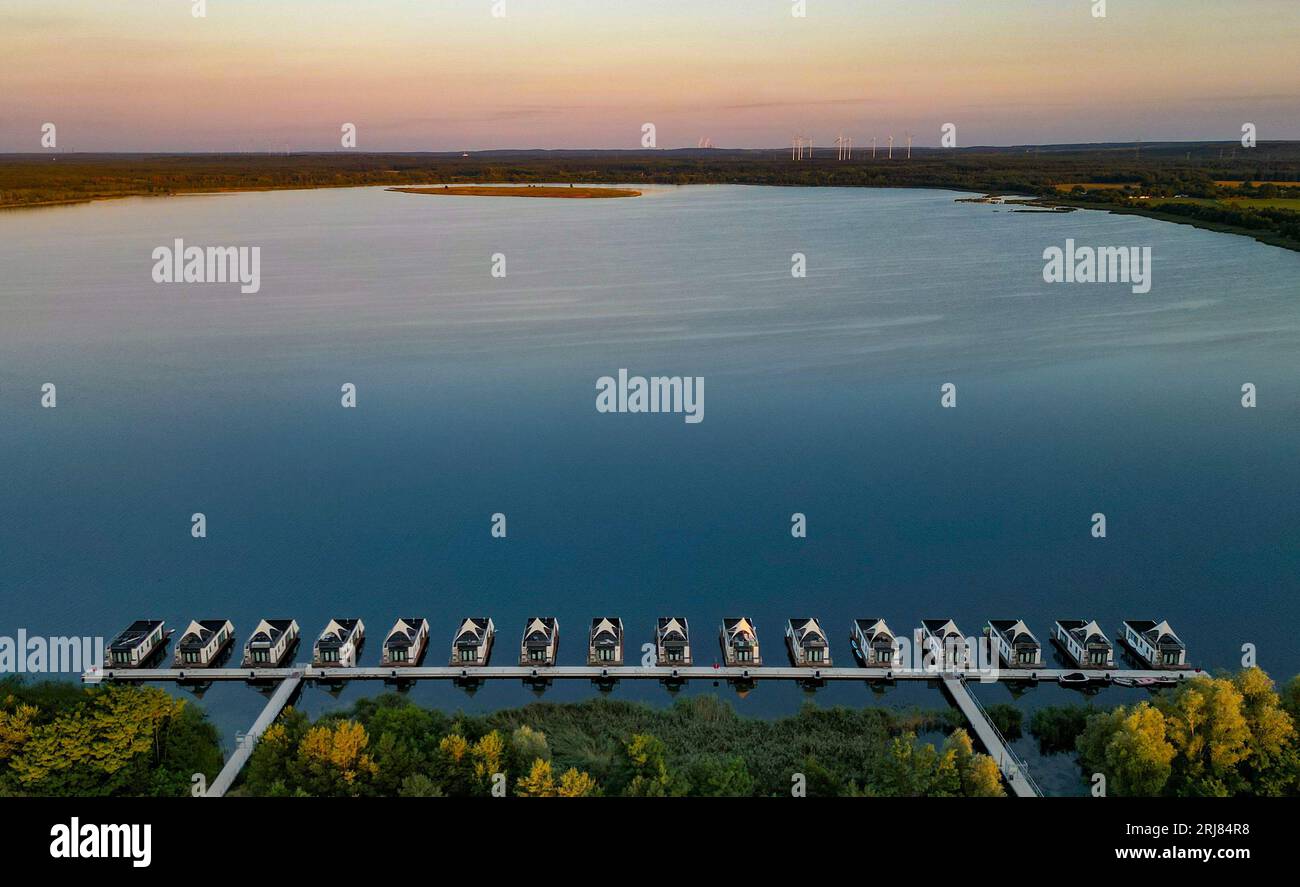 Laasow, Germany. 21st Aug, 2023. The low evening sun shines over the ...