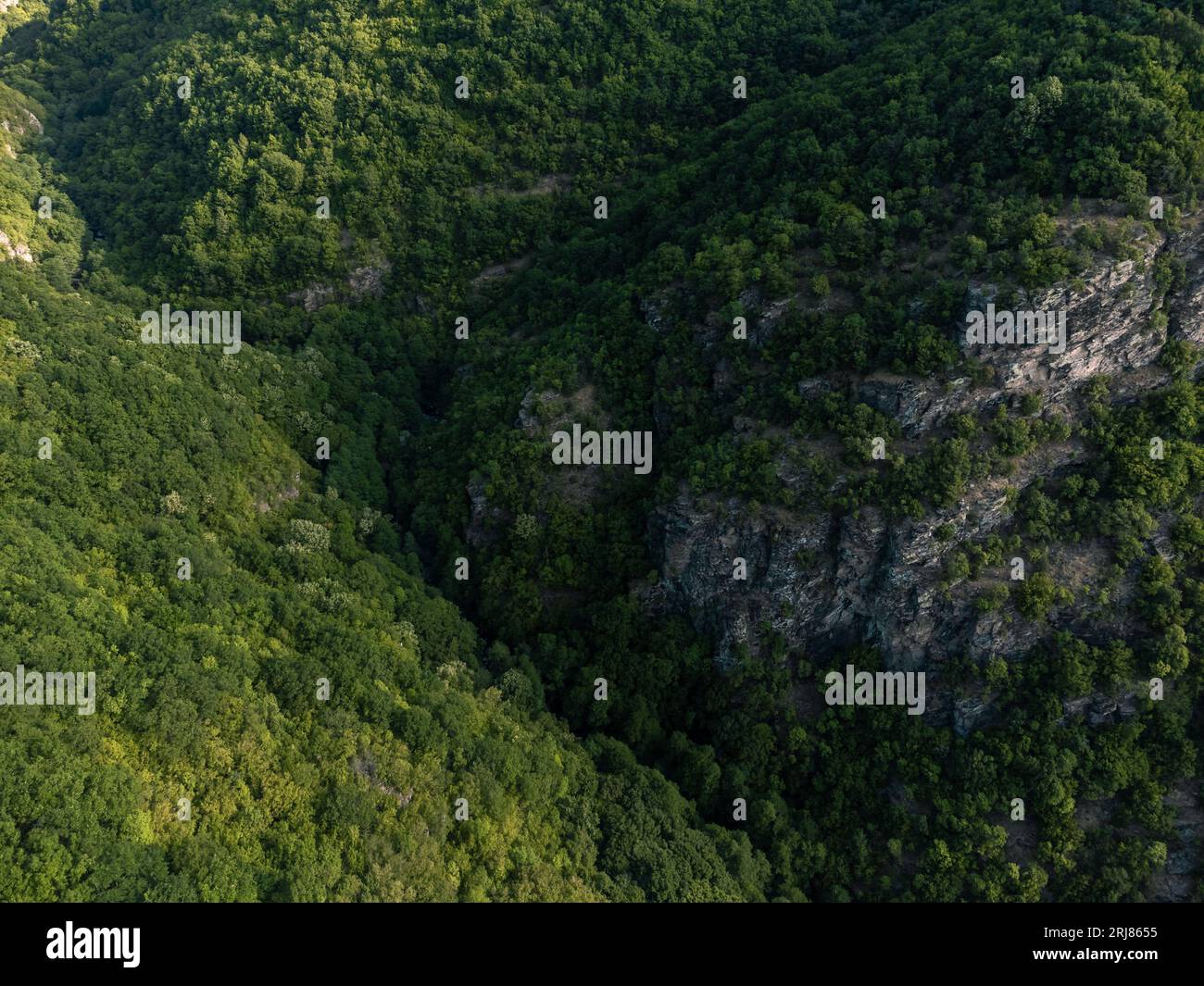 A look below over the forest and a big cliff in the valley Stock Photo ...