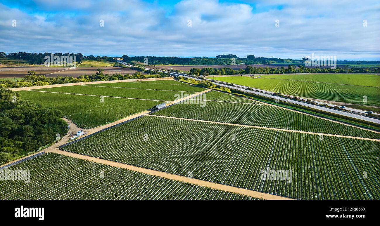 Dark green strawberry fields aerial with roads and distant highway ...