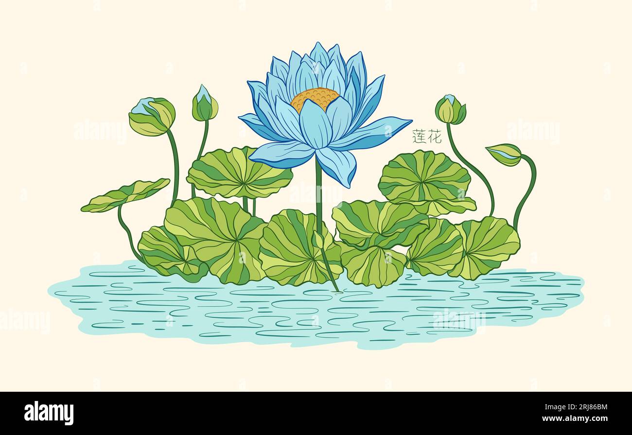 Lotus and leaf sketch with fine graceful lines. Isolated flower on a ...