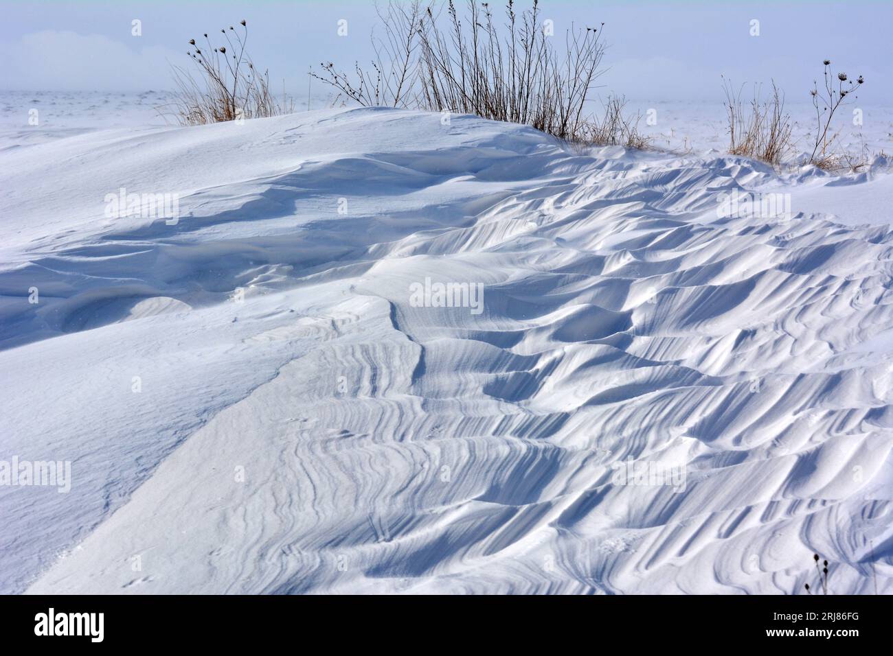 Winter blizzard with wind, snow and frost Stock Photo - Alamy