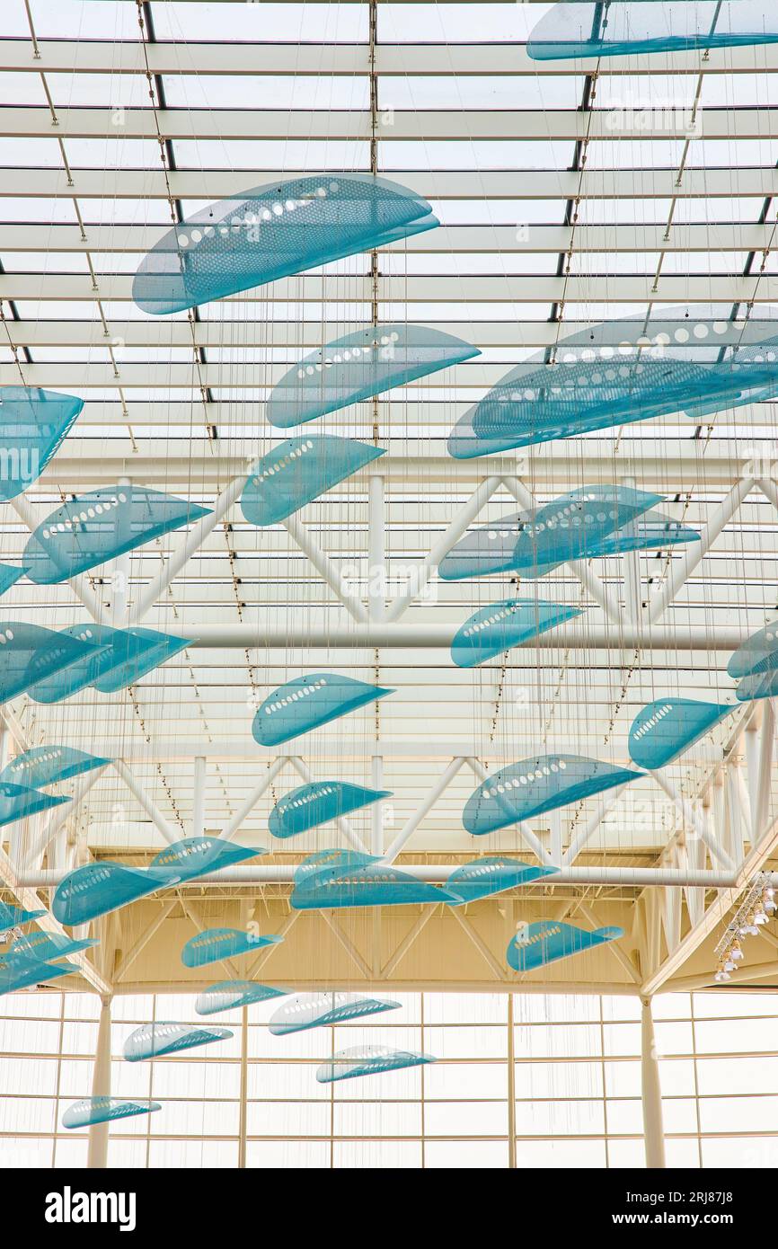 Hanging blue abstract art in curved shells under white ceiling Stock ...