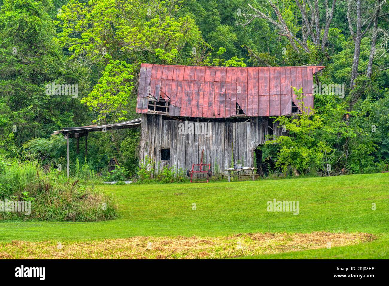 Overgrown barn in the forest hi-res stock photography and images - Alamy