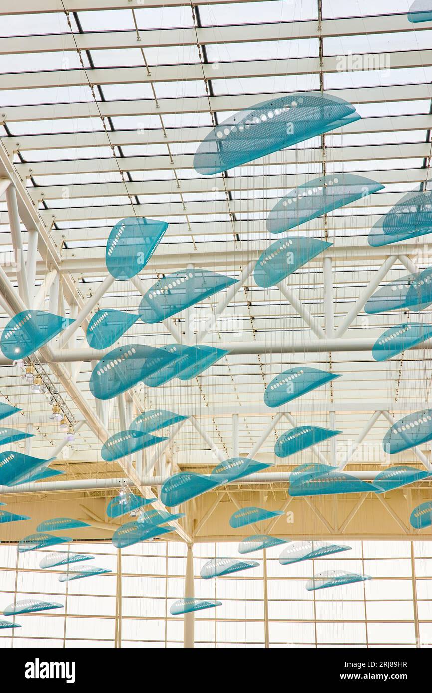 White ceiling with hanging blue abstract art in curved shells Stock ...