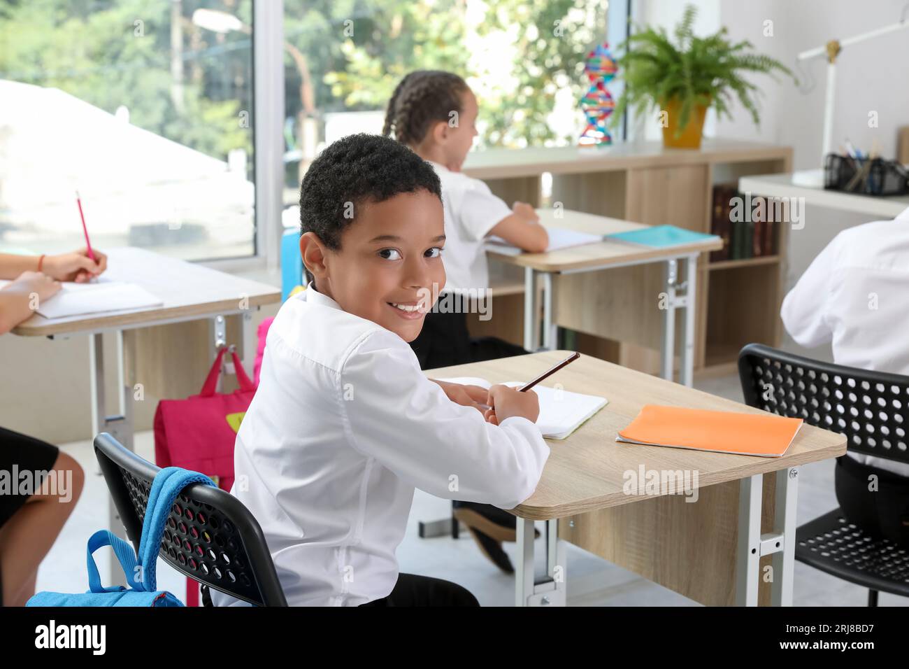 Little classmates sitting at desks during lesson in classroom Stock ...