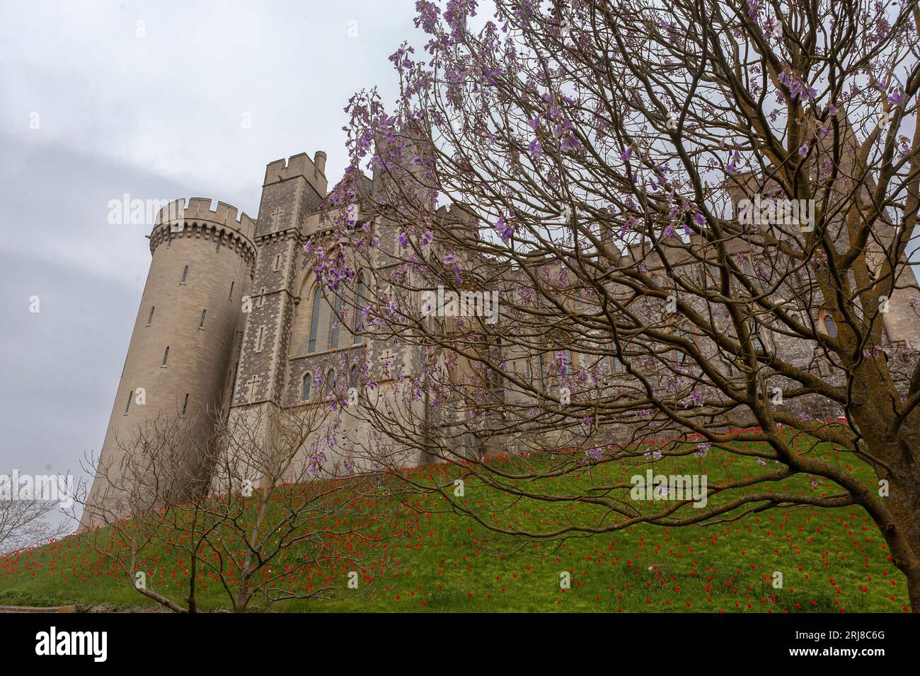 The south-east elevation of the spectacular Arundel Castle, Arundel ...