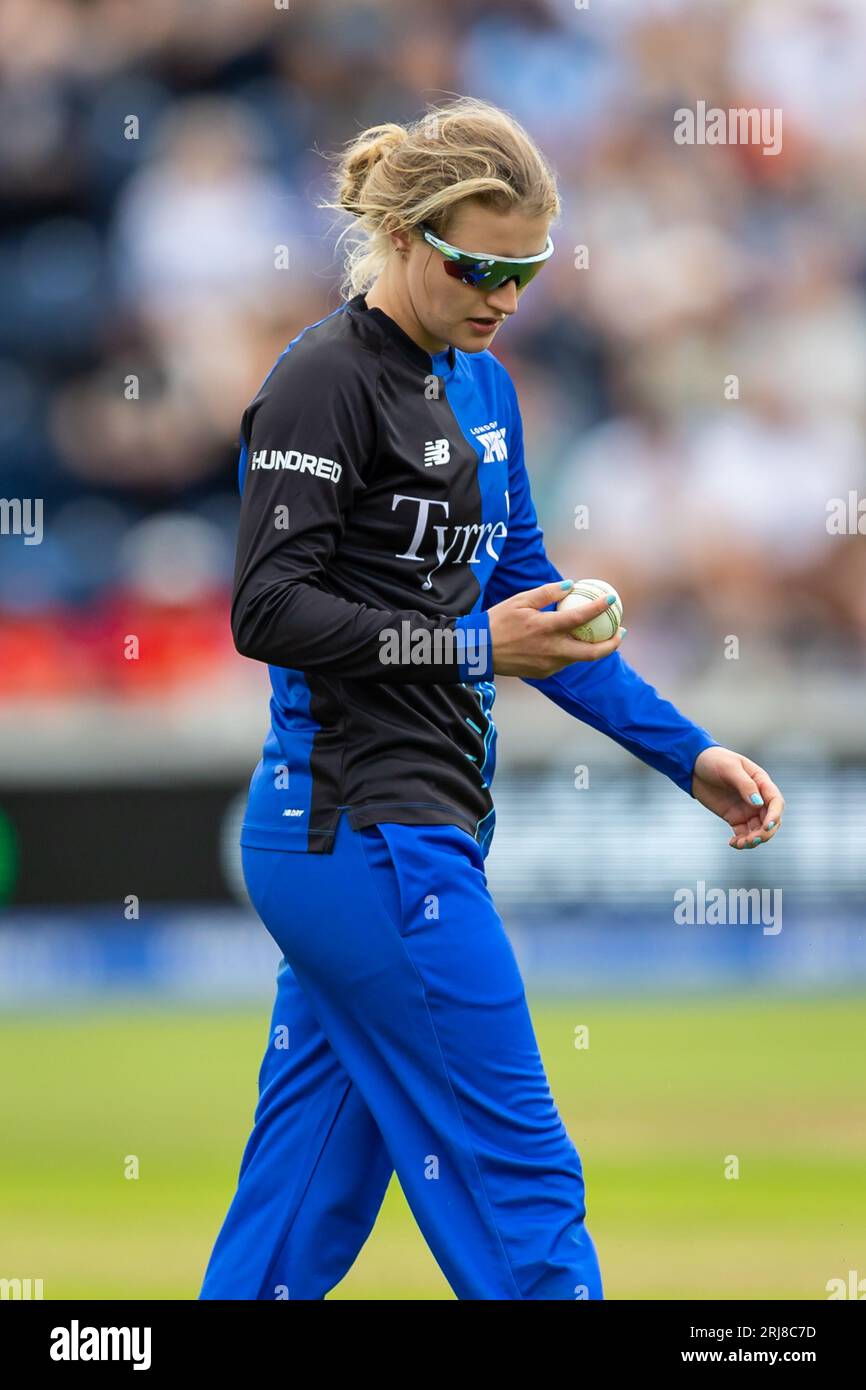 Cricket charlie hi-res stock photography and images - Alamy