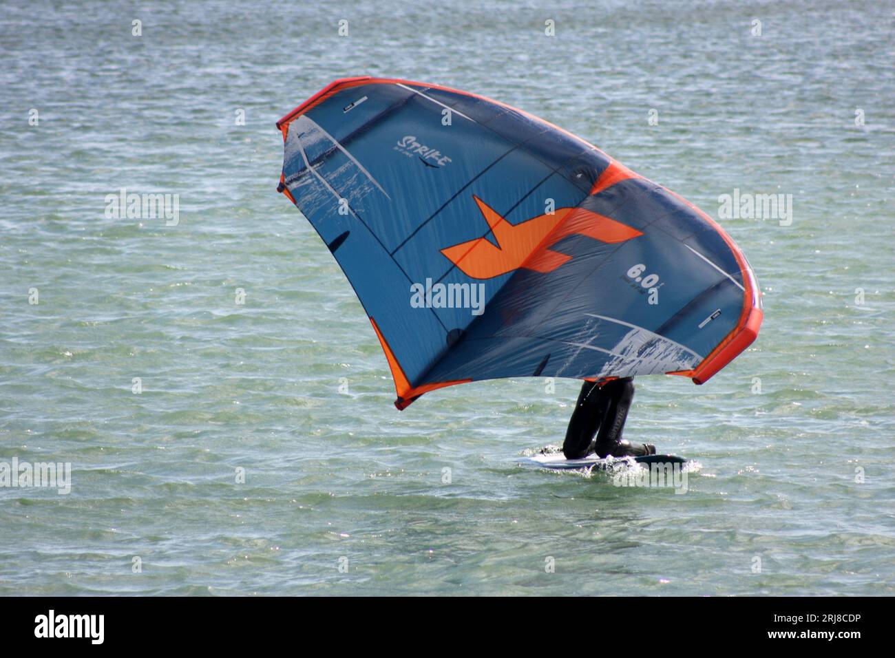 A blade surfer on the river Adur West Sussex Stock Photo - Alamy