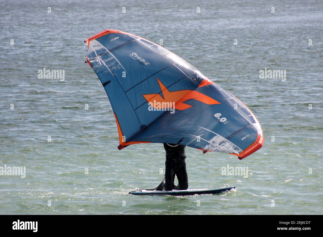A blade surfer on the river Adur West Sussex Stock Photo - Alamy
