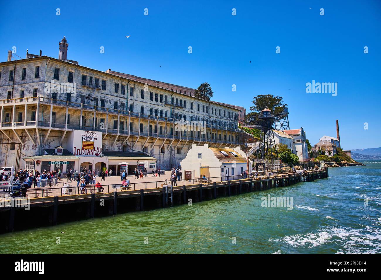Alcatraz Island pier with crowd of people on island and seagull flying ...