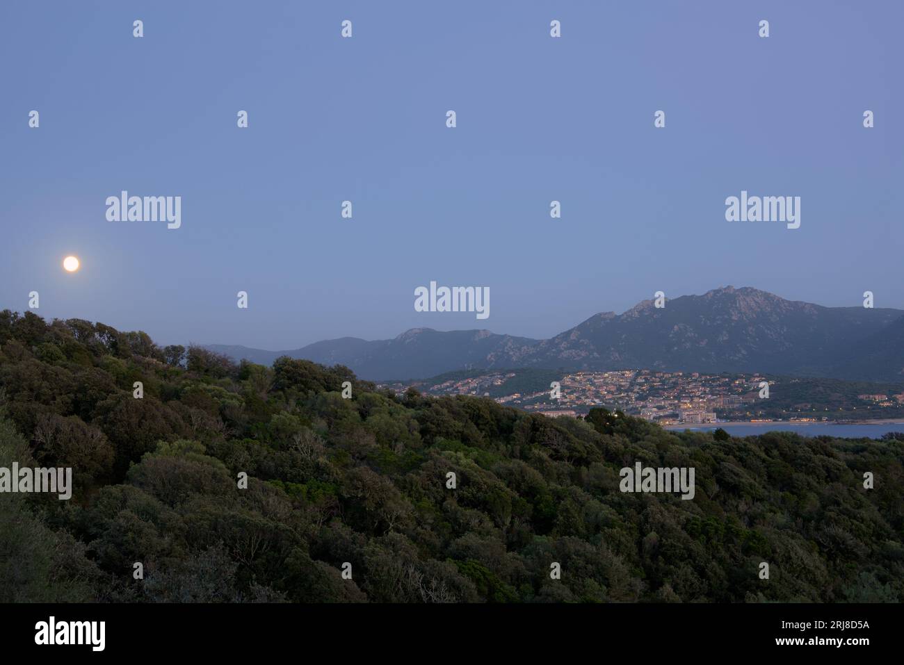 Island of life hi-res stock photography and images - Alamy