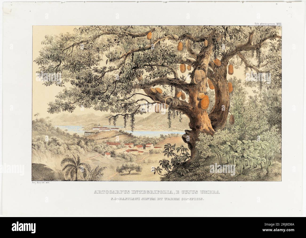 Urbem conspicis hi-res stock photography and images - Alamy