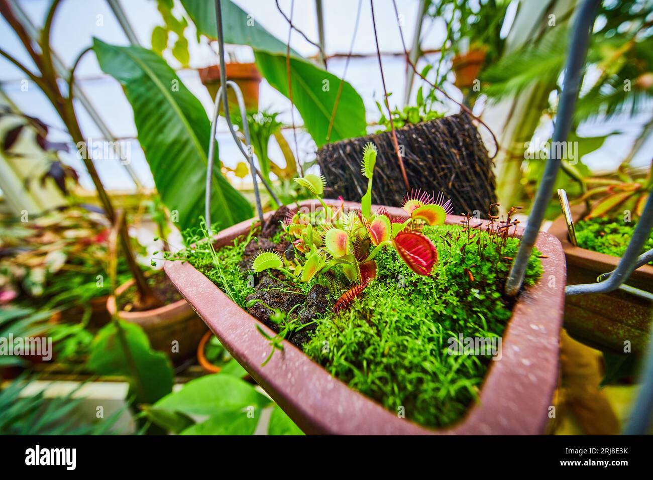 Clay traps hi-res stock photography and images - Alamy