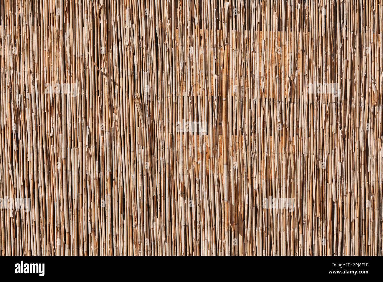 Handmade fence made of dried reeds as background. Backdrop of straw ...