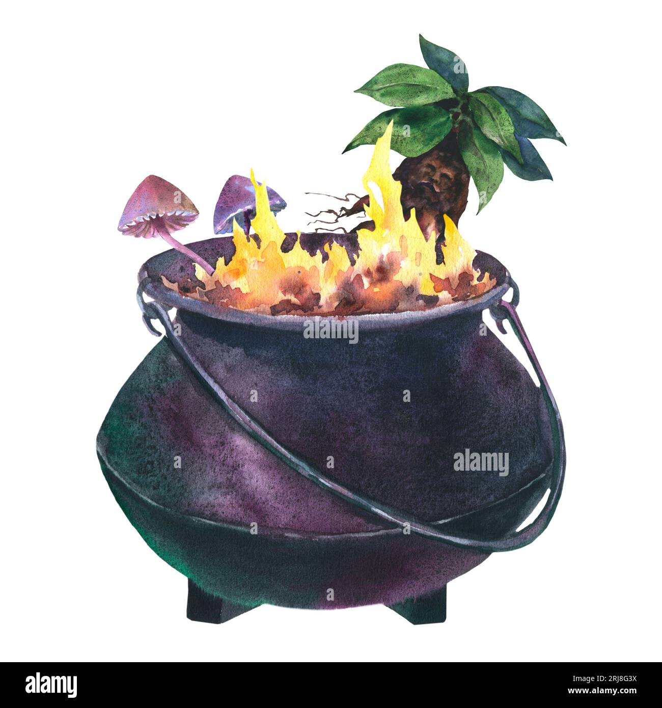 Watercolor Witch Cauldron with mandragora plant and toxic mushrooms ...