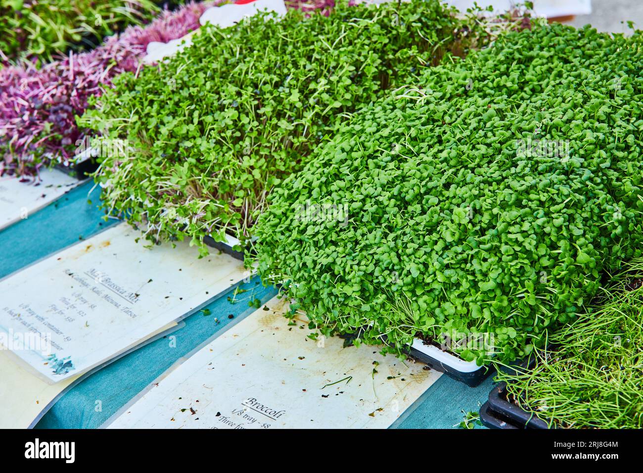 Fort mason san francisco market hi-res stock photography and images - Alamy