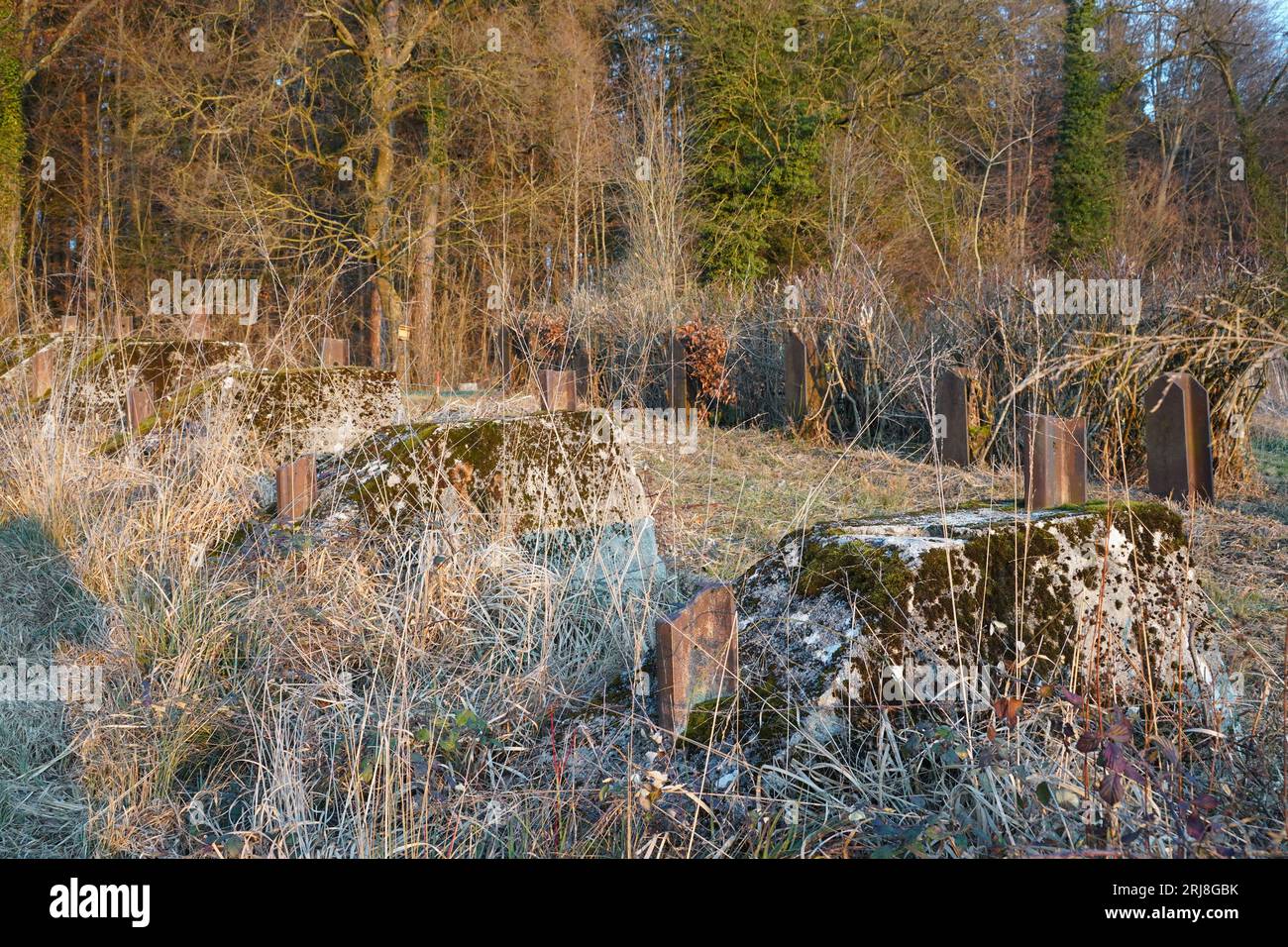 Lining out anti tank toblerone obstacles and reinforced with metal rail ...