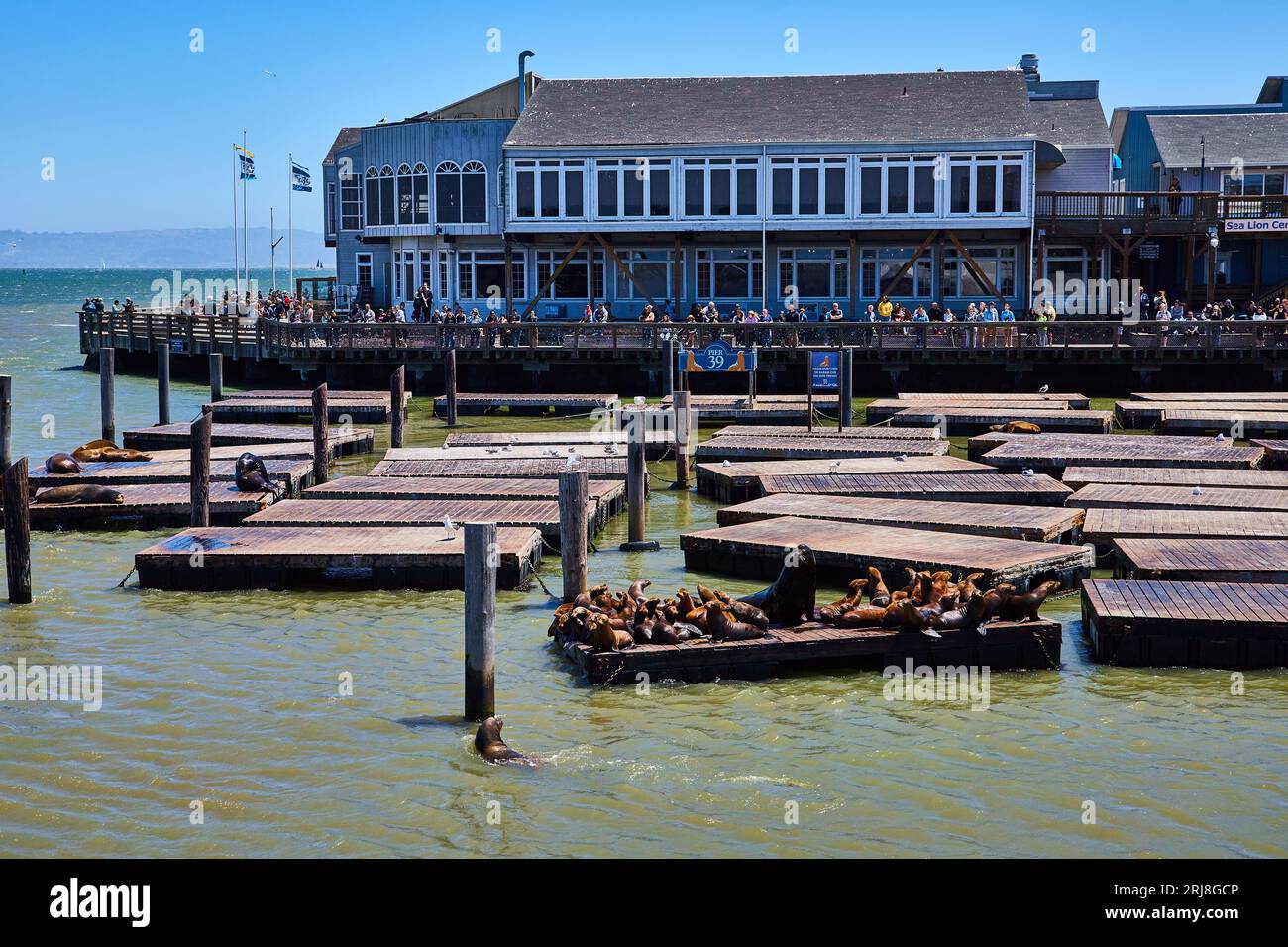 2023 water boards hi-res stock photography and images - Alamy