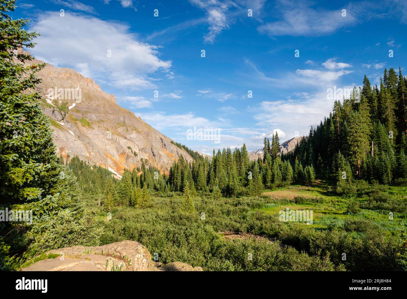 Evening photograph of Yankee Boy Basin, Uncompahre National Forest ...