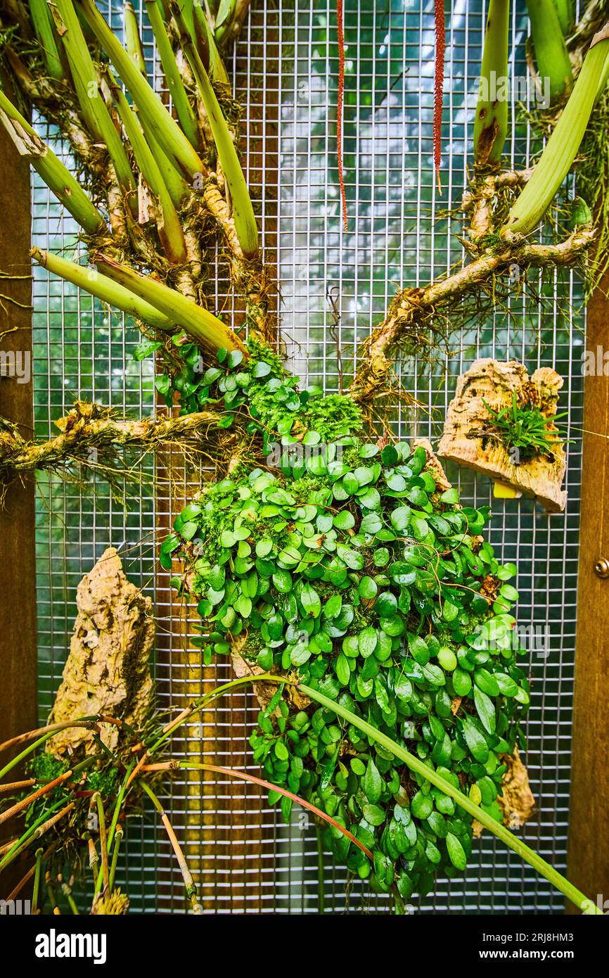 Mesh wall with plants growing on the door Stock Photo - Alamy