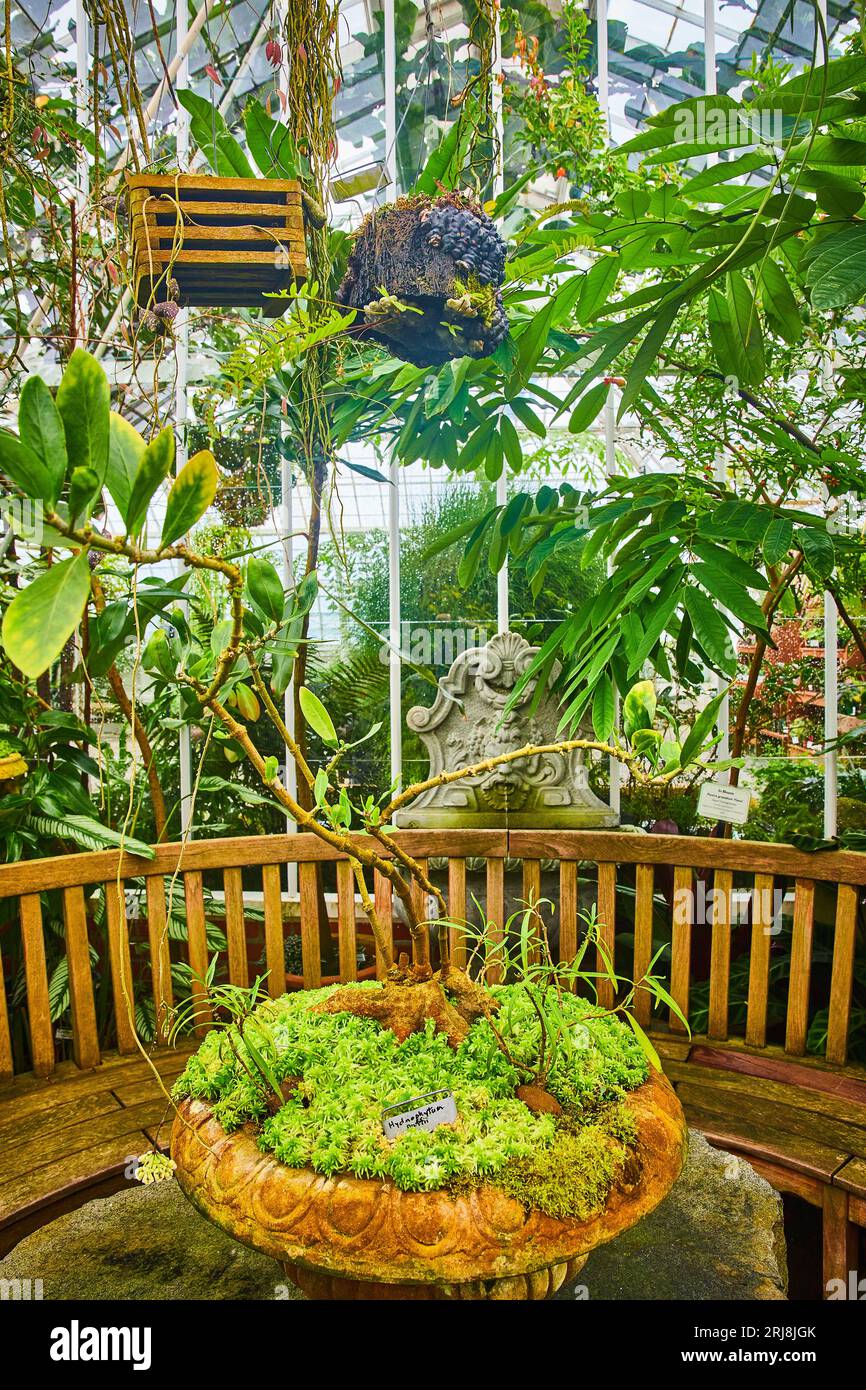 Fancy planter with tall spindly plant surrounded by a bench with ...