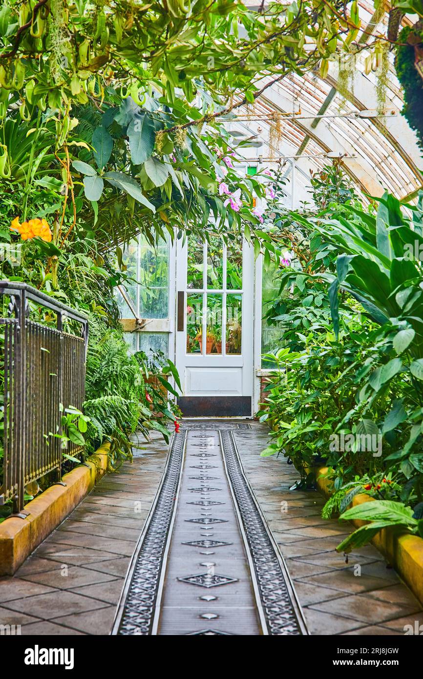 Fancy pathway of stone and metal leading to white door in green house ...