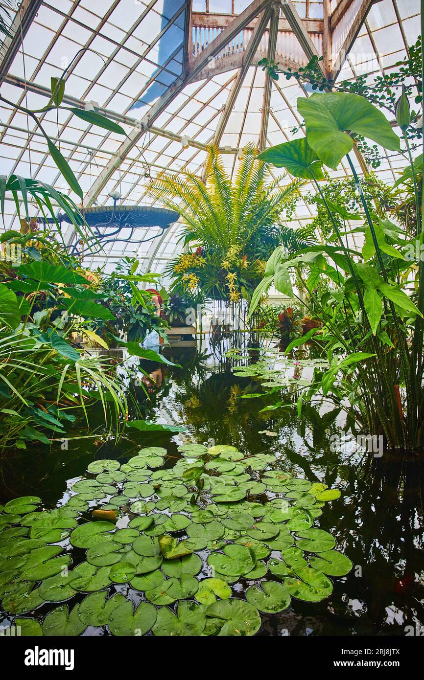 Wide view of conservatory with pool of water with lily pads and plants ...