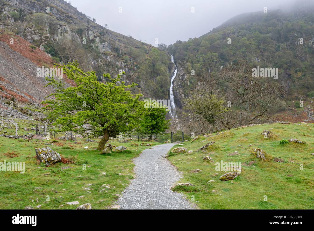 Footpath to Aber Falls a spectacular feature on the edge of the ...