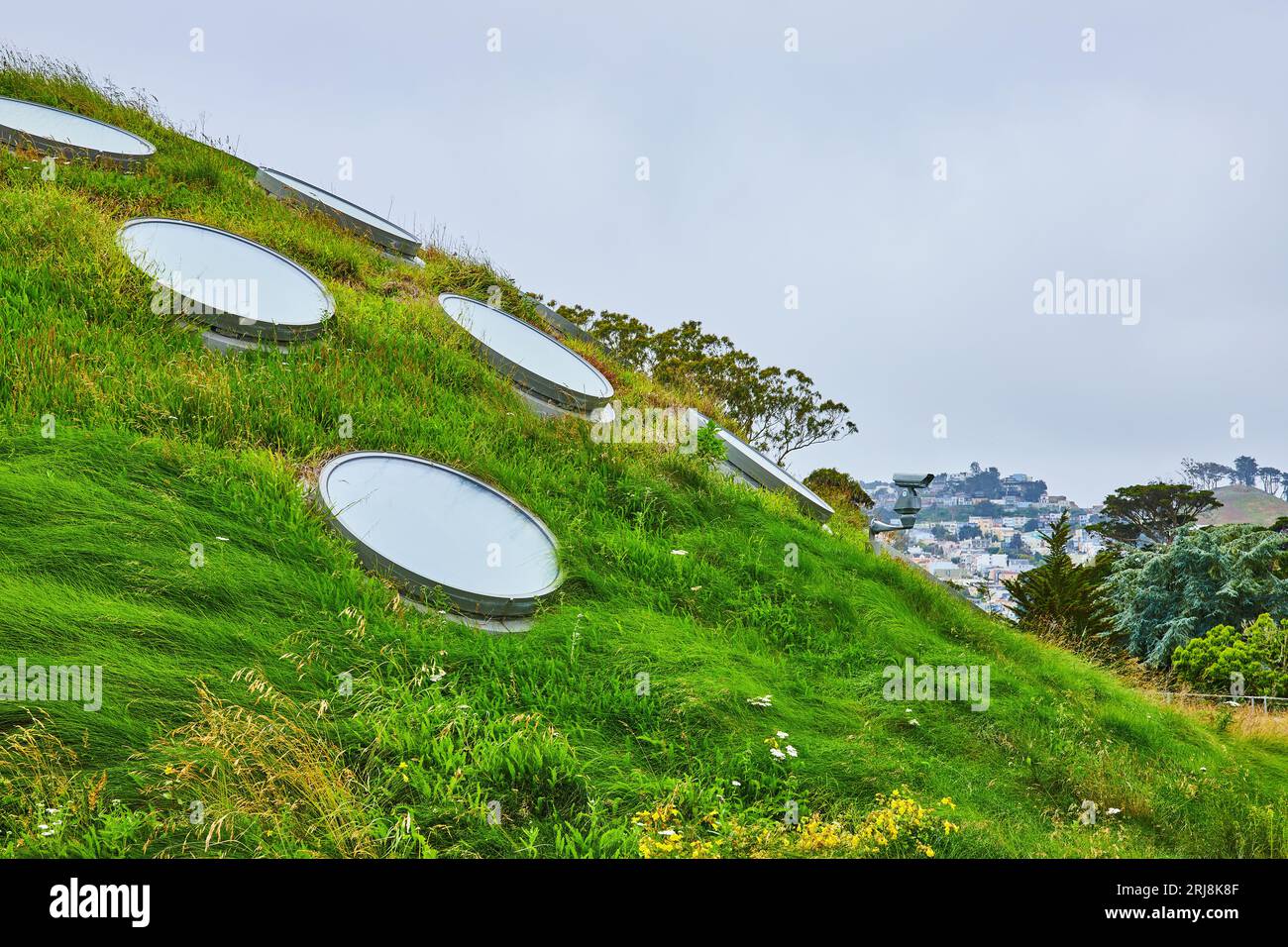 Living roof with skylights on Academy of Sciences with distant city ...