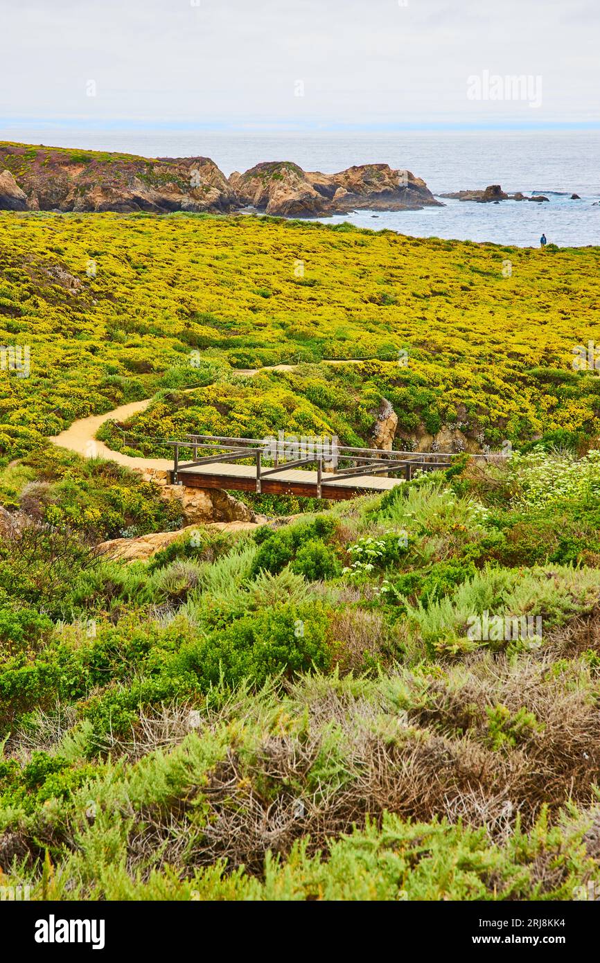 Hillside view park hi-res stock photography and images - Alamy