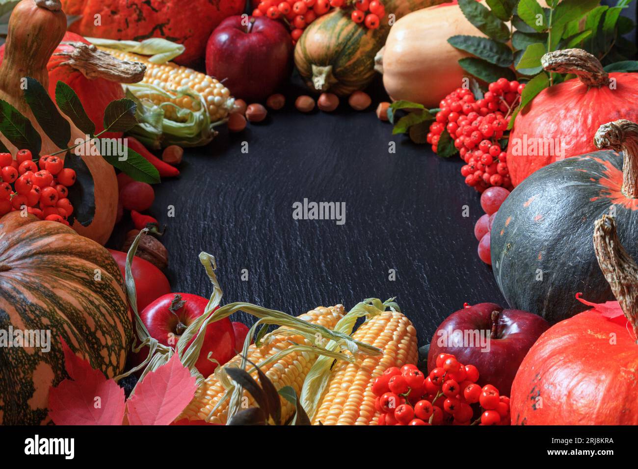 Autumn agricultural frame made of fruits and vegetables with copy space ...