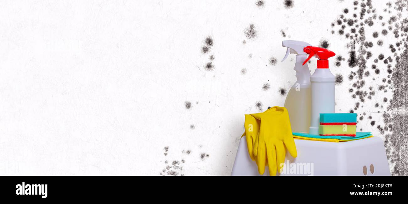 Accessories for cleaning from stains of poisonous bacteria mold and ...