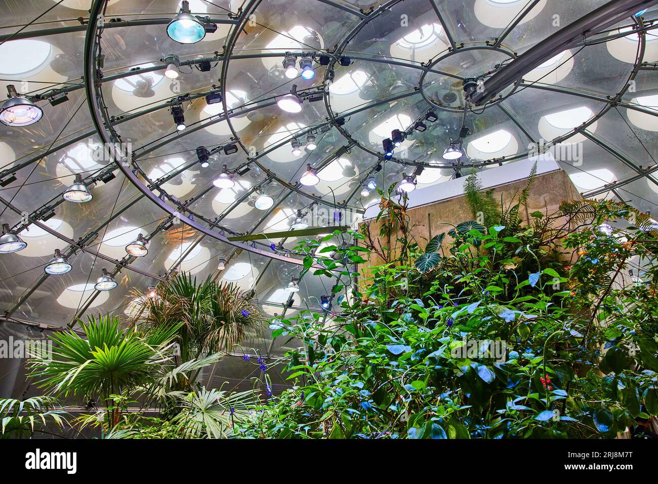 Silver dome with lights over rainforest biome with wall covered in ...