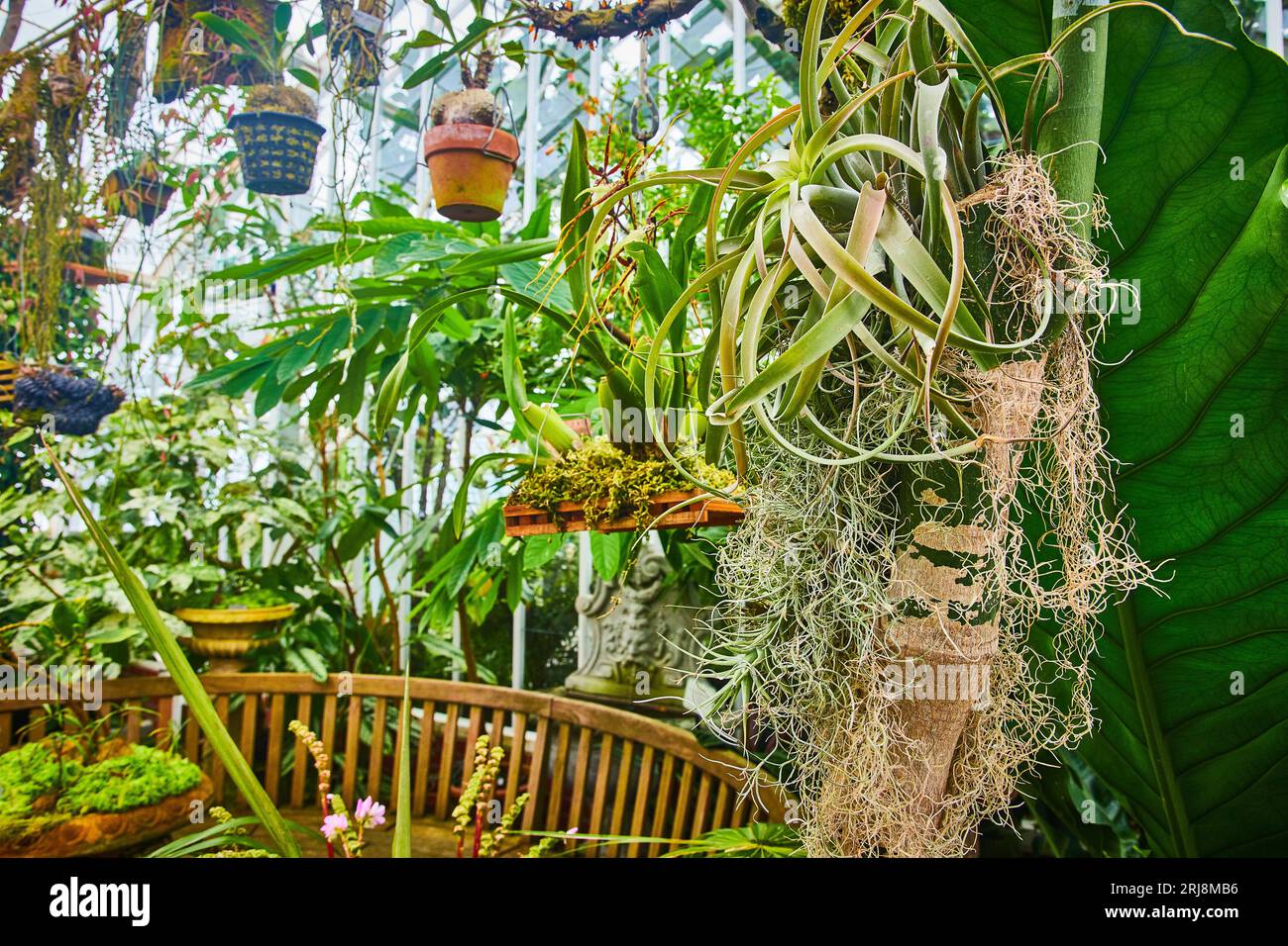 Pots off flowers hi-res stock photography and images - Alamy