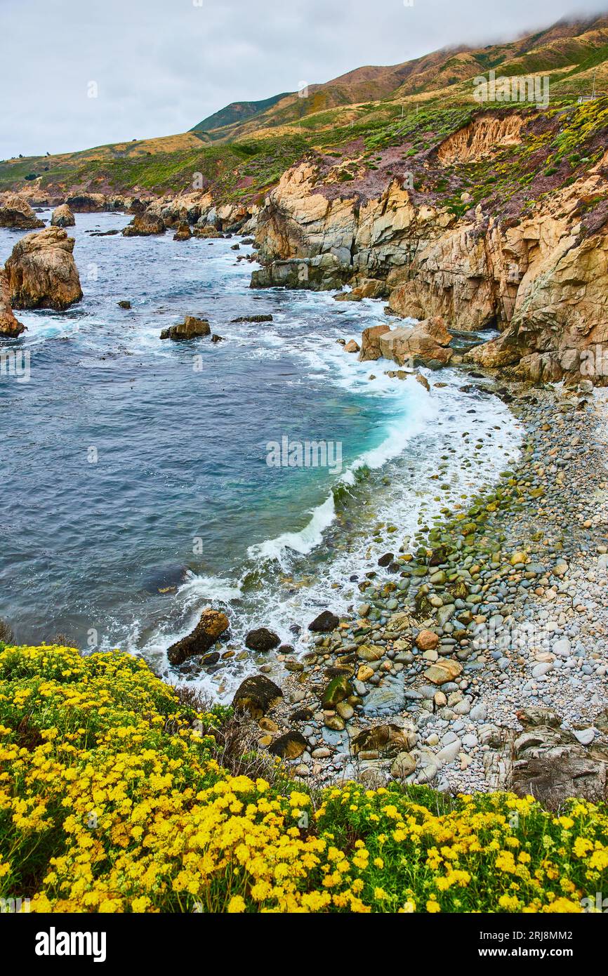 Yellow flowers overlooking ocean waves crashing against stony shore ...