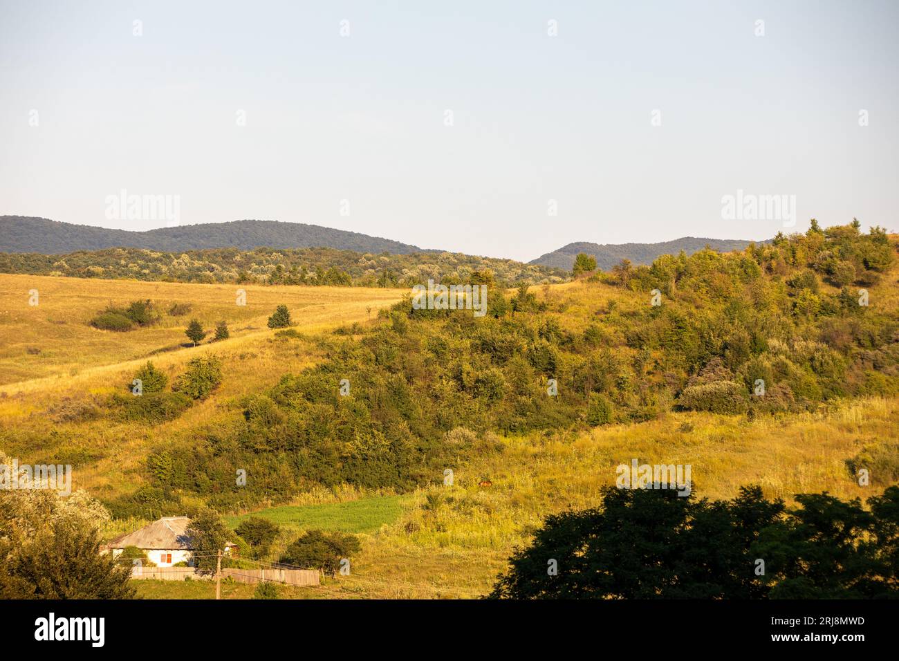 View of rural Romania, with green fields and farm animals Stock Photo ...
