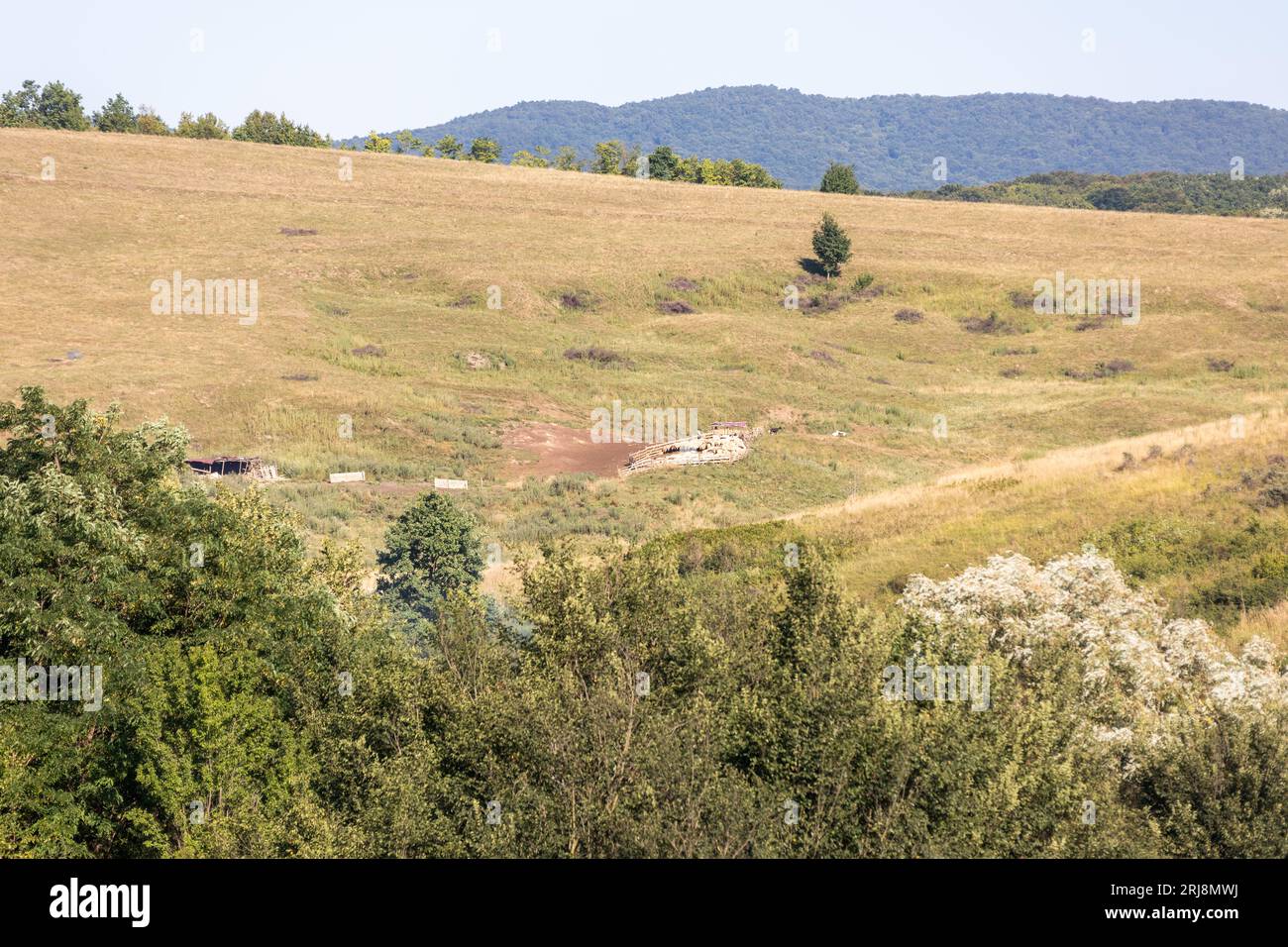 View of rural Romania, with green fields and farm animals Stock Photo ...