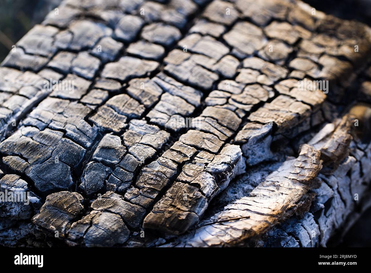 Burnt wood texture hi-res stock photography and images - Alamy