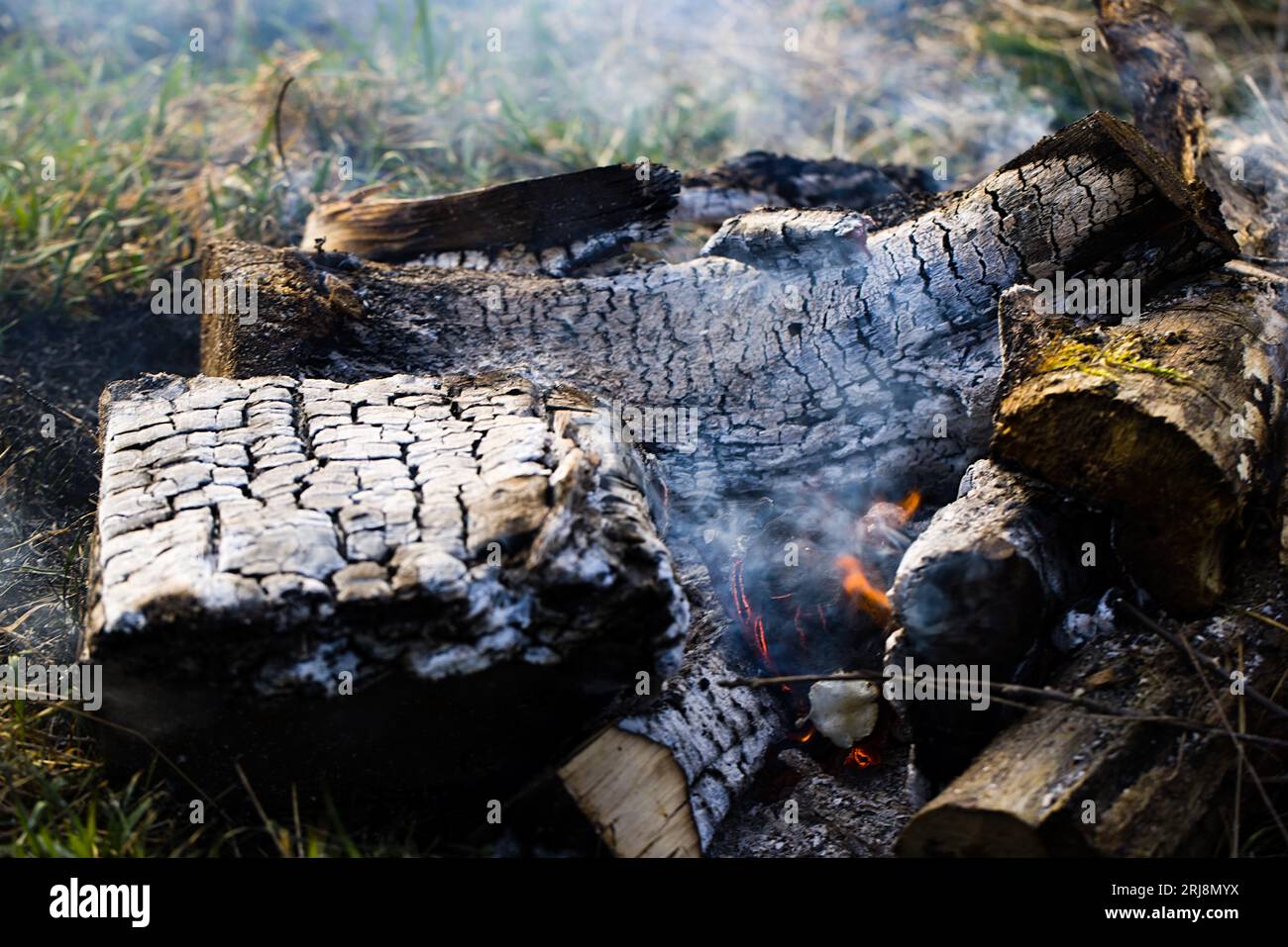 Burnt wood texture. Burnt piece of wood in a bonfire Stock Photo - Alamy