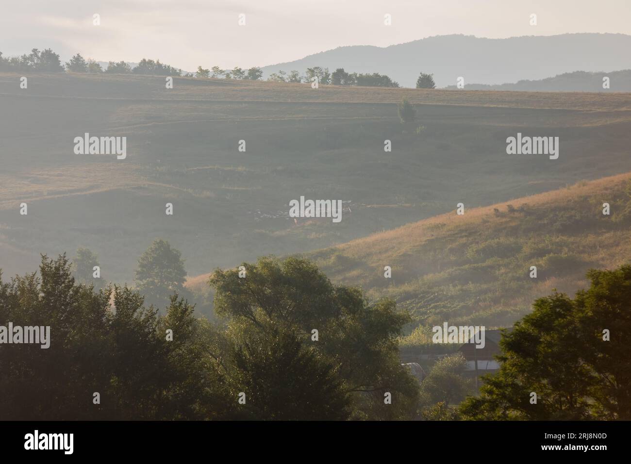 View of rural Romania, with green fields and farm animals Stock Photo ...