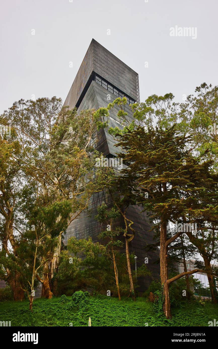 Tall gray building hidden among forest of trees and plant life Stock ...