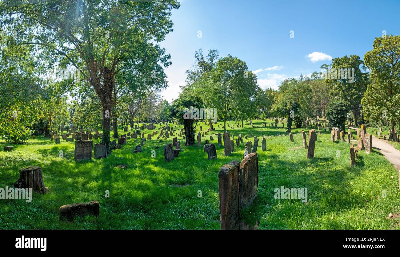 The Jewish Cemetery in Worms or Heiliger Sand, in Worms, Germany is ...