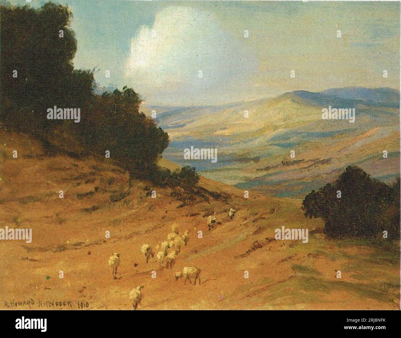 Q19914660 hi-res stock photography and images - Alamy