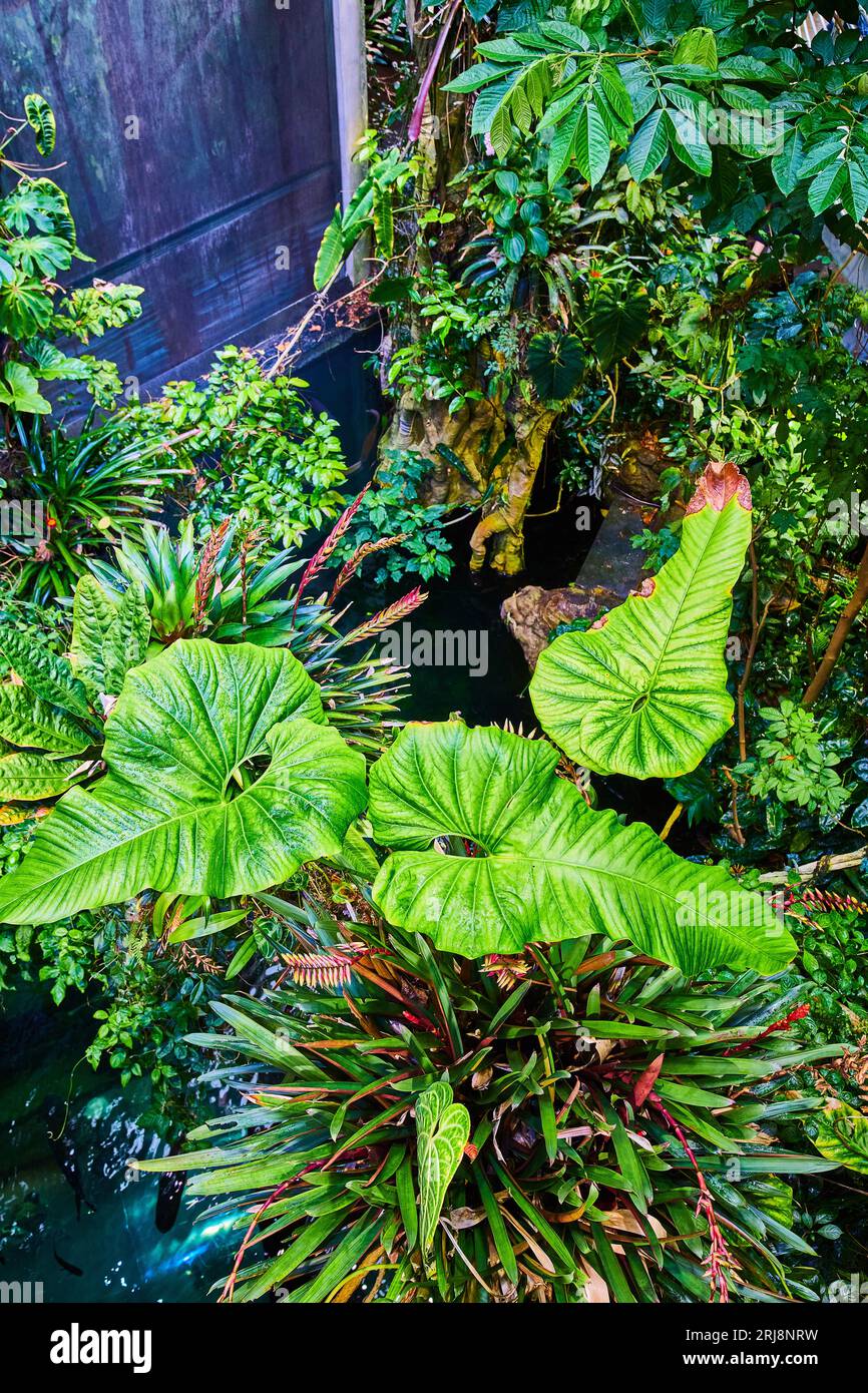 Fish in stream of blue water with vibrant plant life in artificial ...