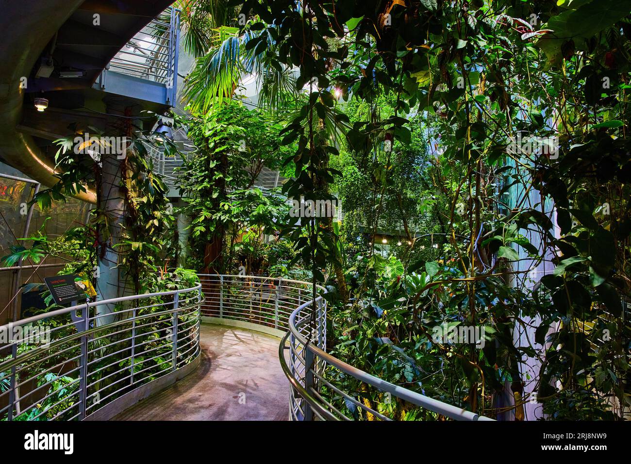 Rainforest dome san francisco hi-res stock photography and images - Alamy