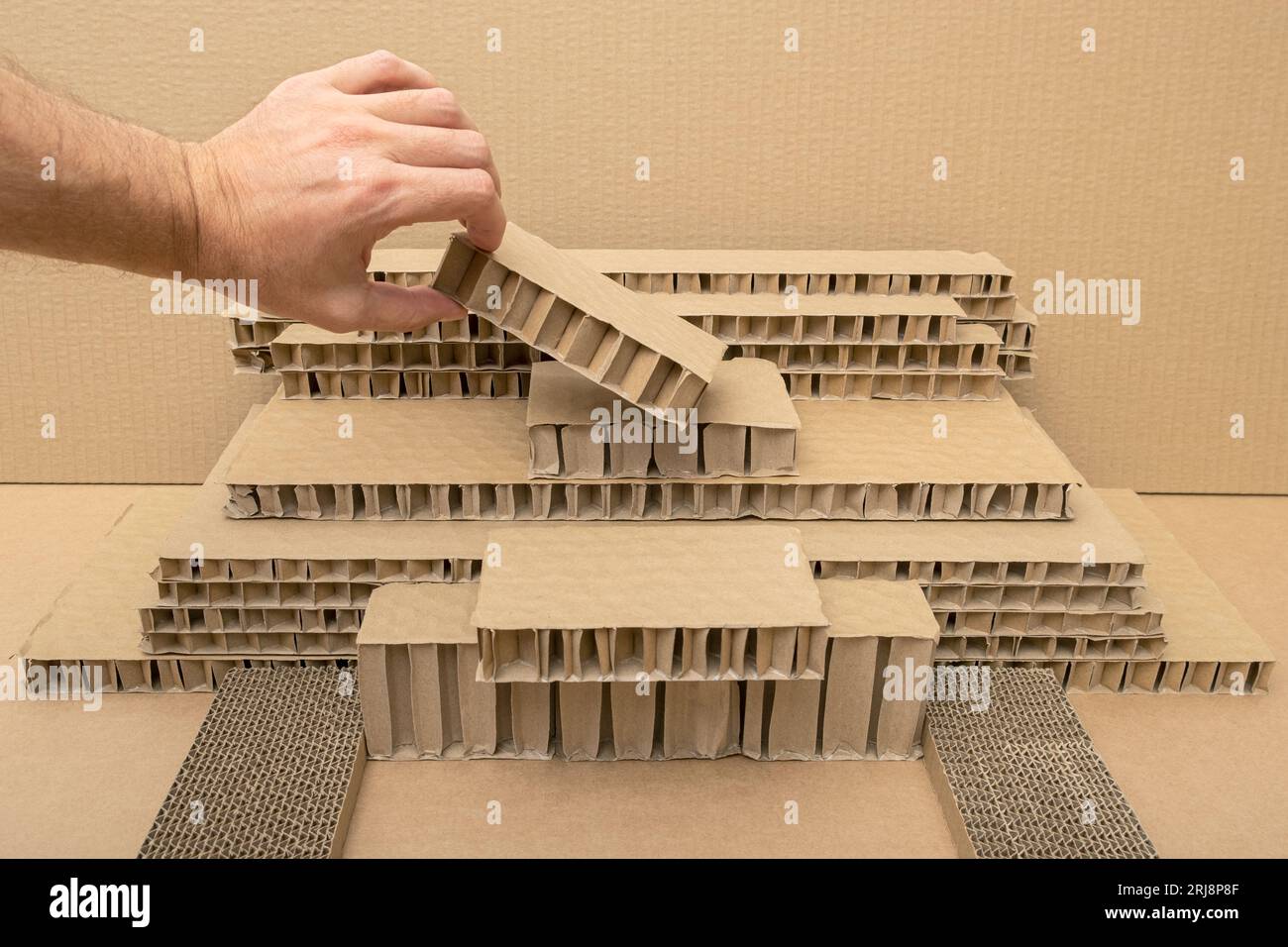 Basic architectural students project their work in 3rd architecture ...