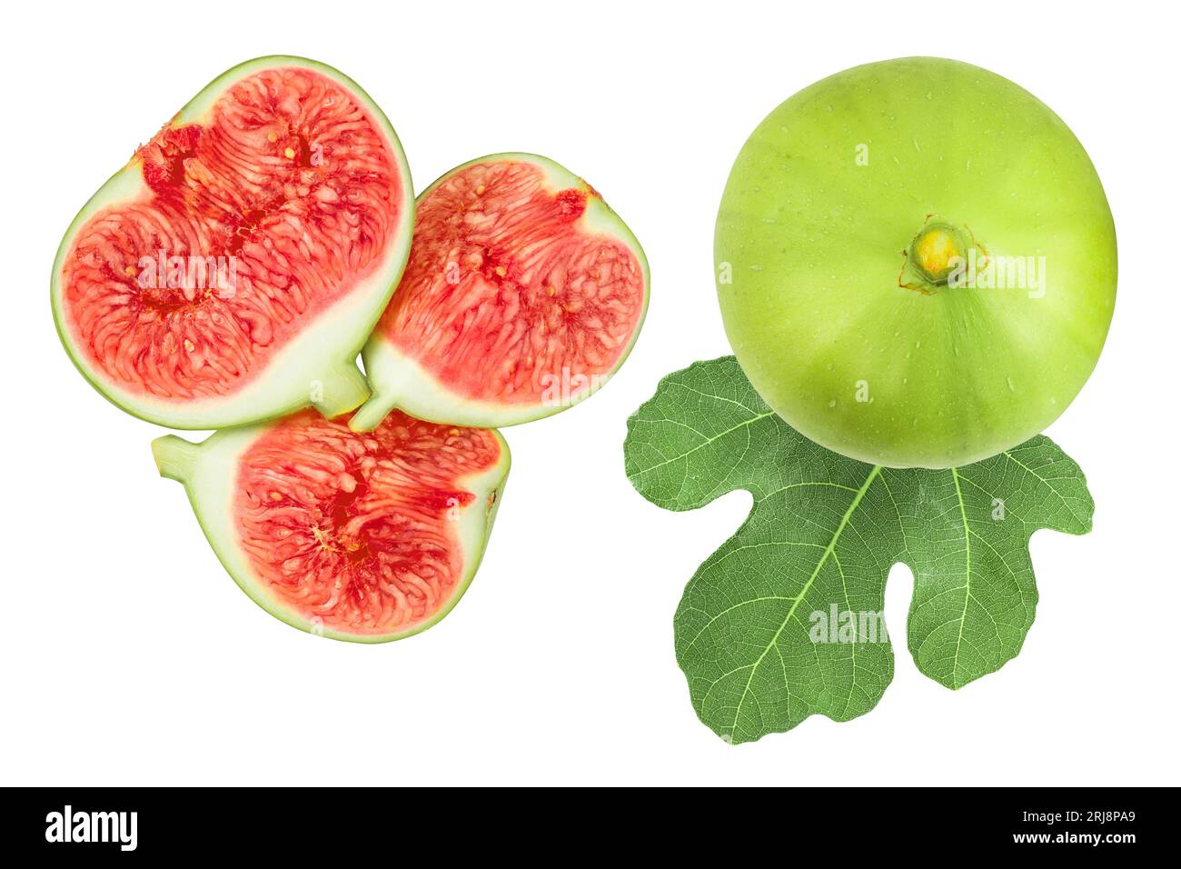 Ripe green fig fruit isolated on white background with full depth of ...