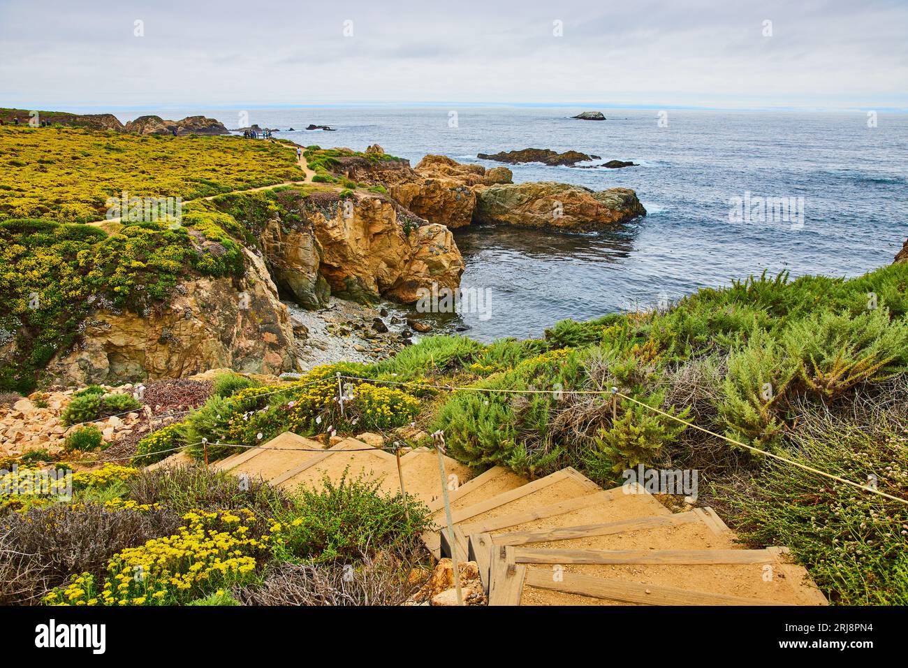 Nature trail with winding wooden steps down green and yellow hillside ...