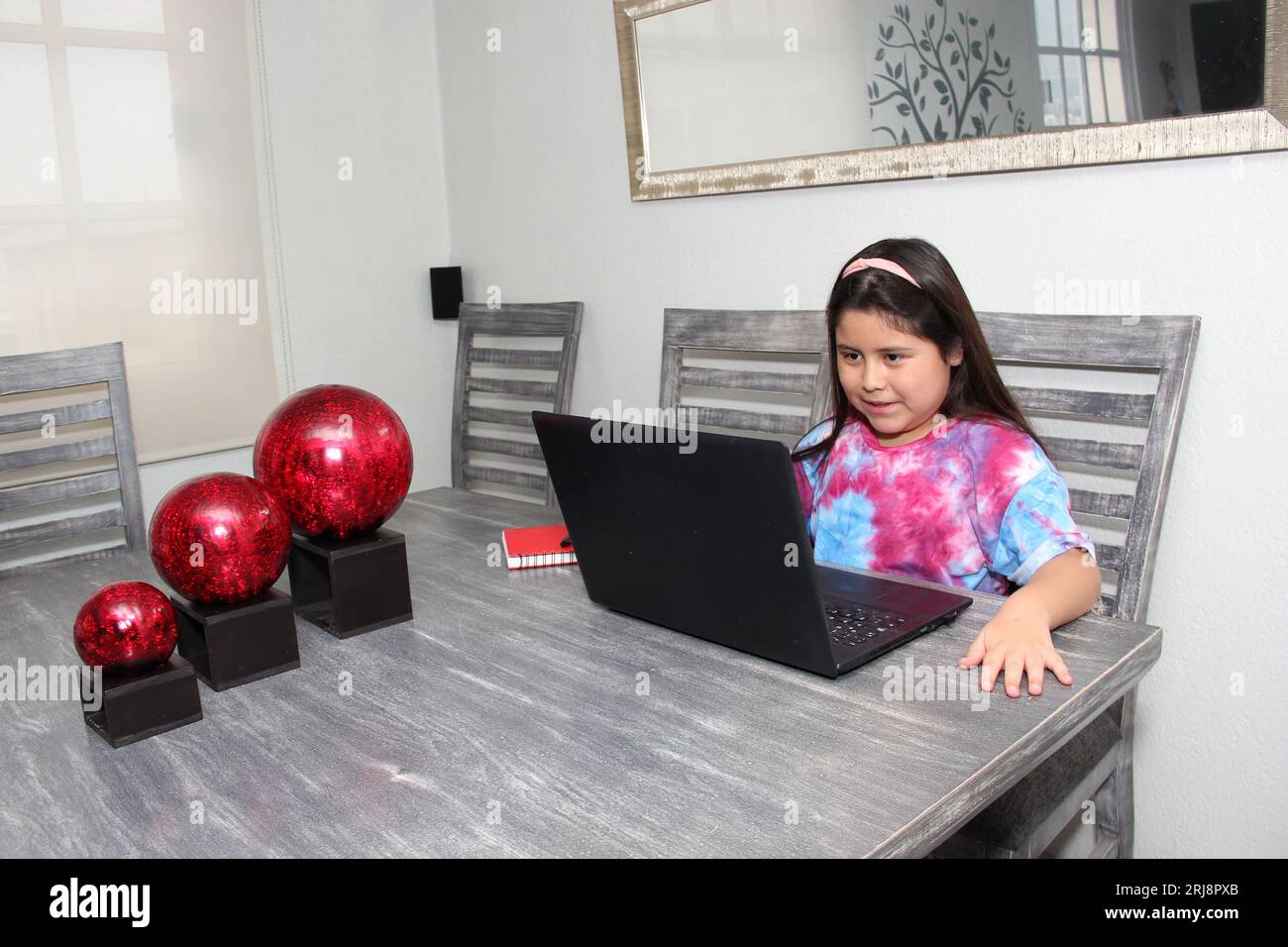 10-year-old girl doing home school in the dining room of the house with ...